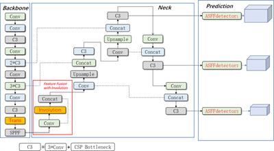 Frontiers | TIA-YOLOv5: An improved YOLOv5 network for real-time detection of crop and weed in ...
